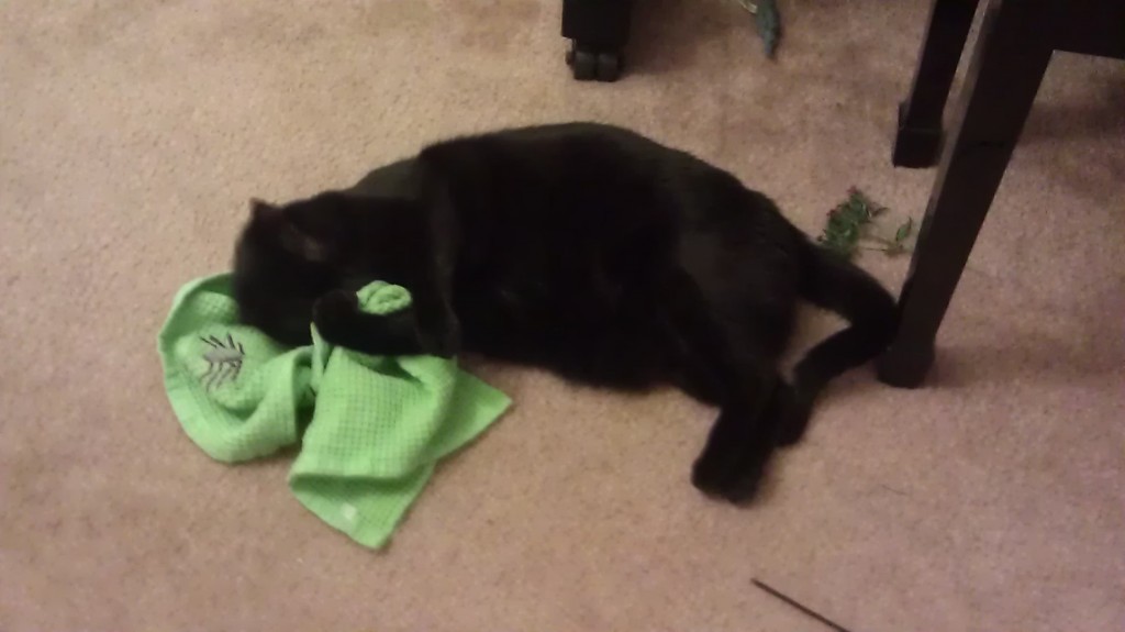 Roast Cat or Roast Beet?